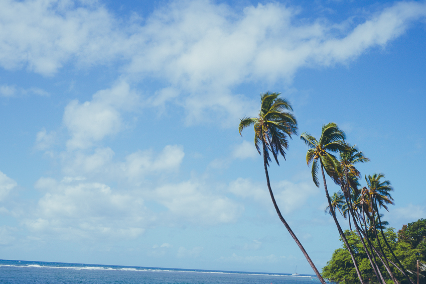 Maui – A Comprehensive Guide to Budget and Solo Female Travel on Maui