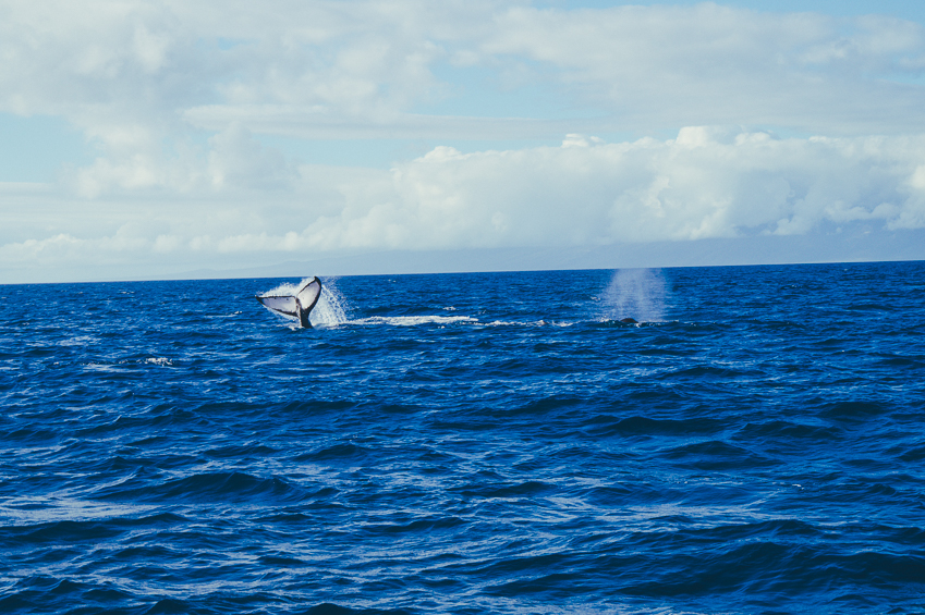 Maui – A Comprehensive Guide to Budget and Solo Female Travel on Maui